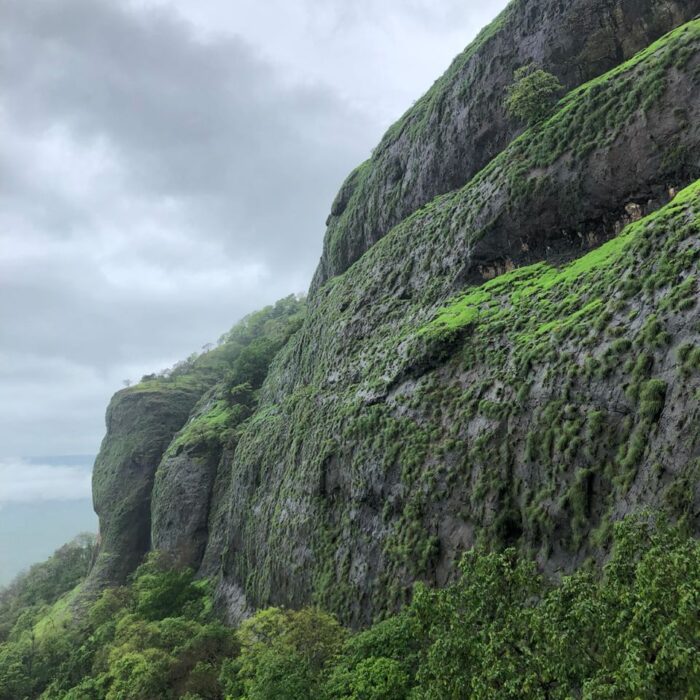 Sudhagad Fort Trek from Mumbai Wandering Explorers